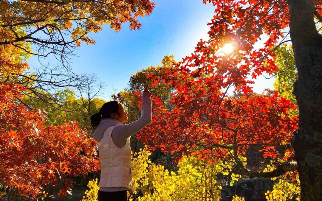 Bloomington 3 Day Summer Itinerary - Bloomington MN Travel & Tourism ...